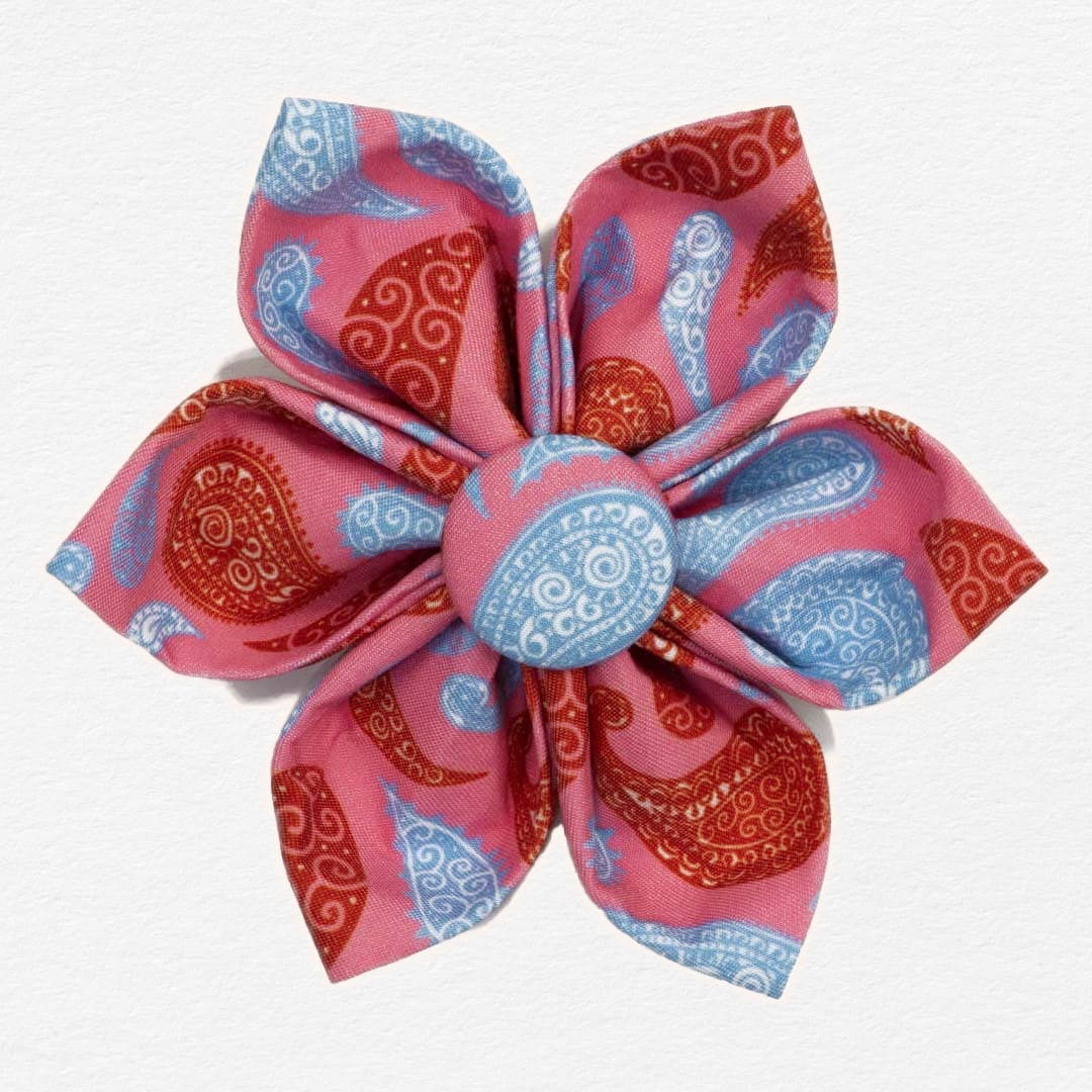 Paisley Taffy Dog Flower – Waggy Pups