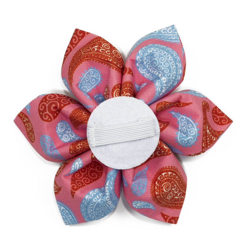 Paisley Taffy Dog Flower – Waggy Pups